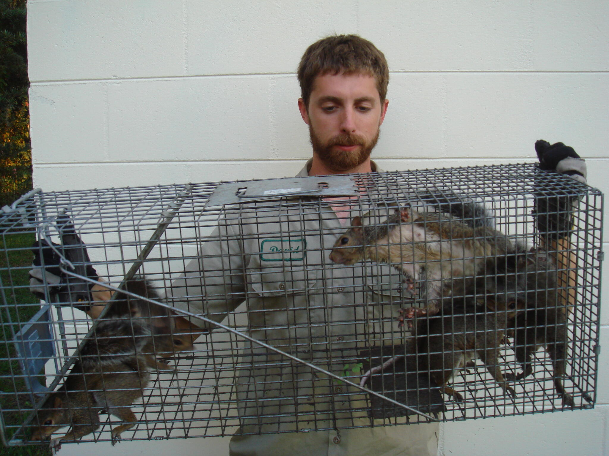 San Ramon Wildlife Removal - San Ramon, CA - Nextdoor