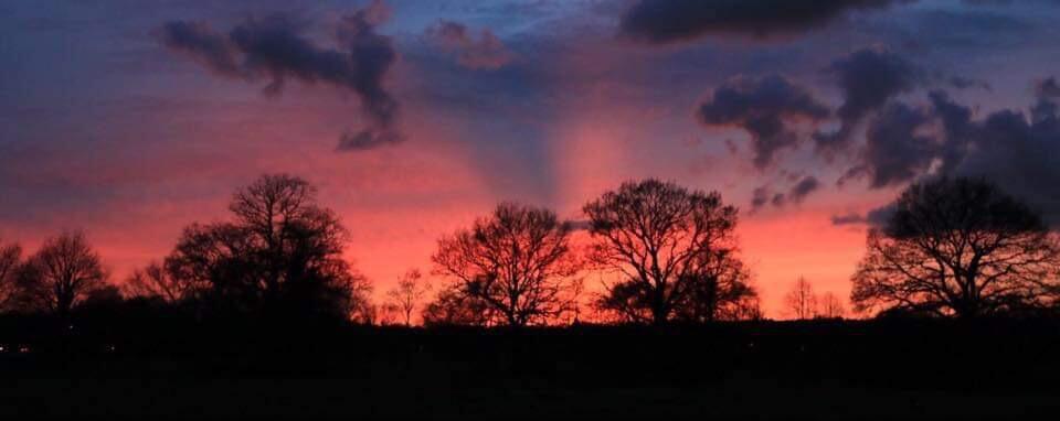 Natural Goldsworth Park - Woking - Nextdoor