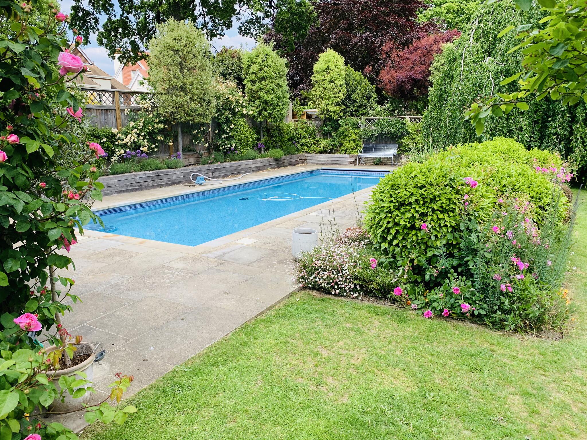 George’s Garden - Croydon - Nextdoor