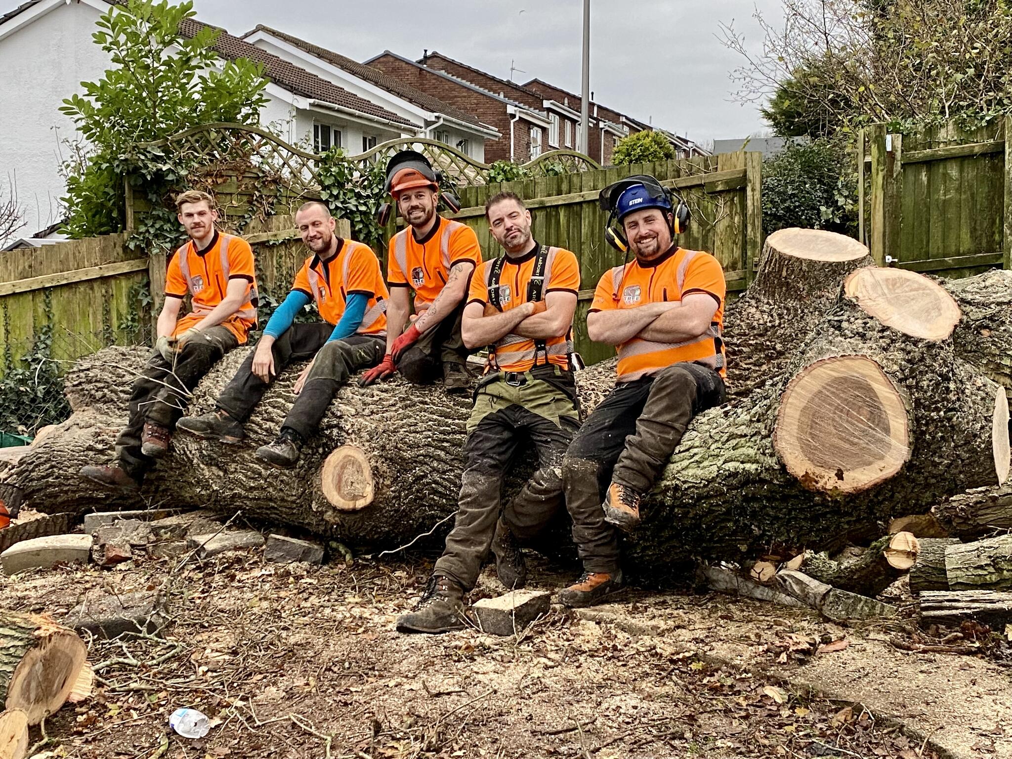 Tree Rex Limited - Cardiff - Nextdoor