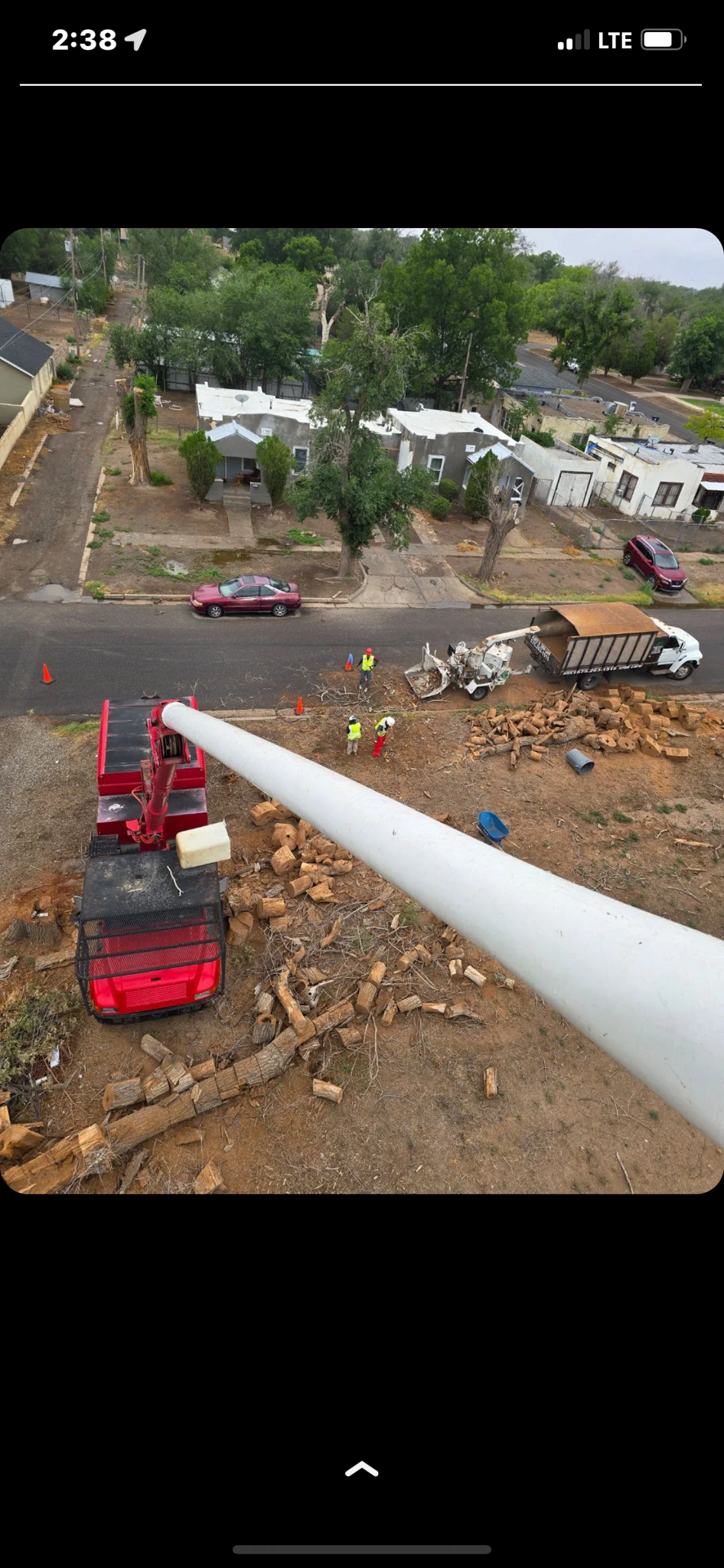 Alex Tree Care - Nextdoor