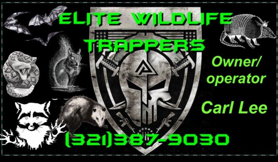 Elite Wildlife Trappers - Winter Park, FL - Nextdoor