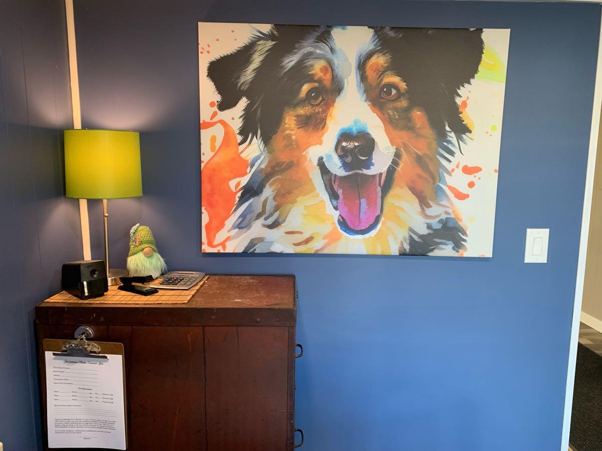 Jazzmine Rose Canine Spa - Nextdoor