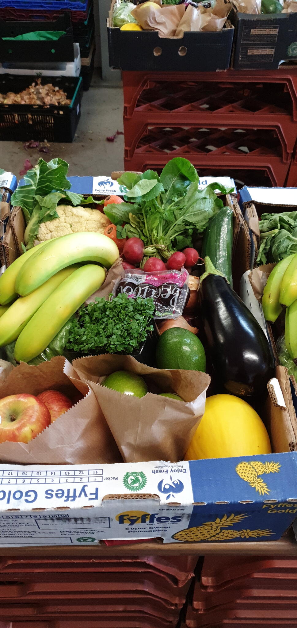 Larder Tree - Nottingham, England - Nextdoor