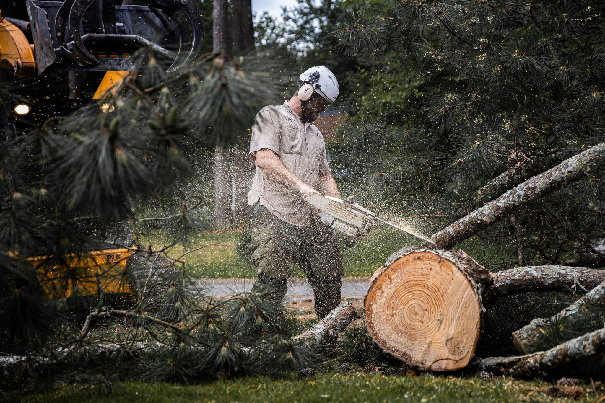 Top Tier Trees - Marietta, GA - Nextdoor