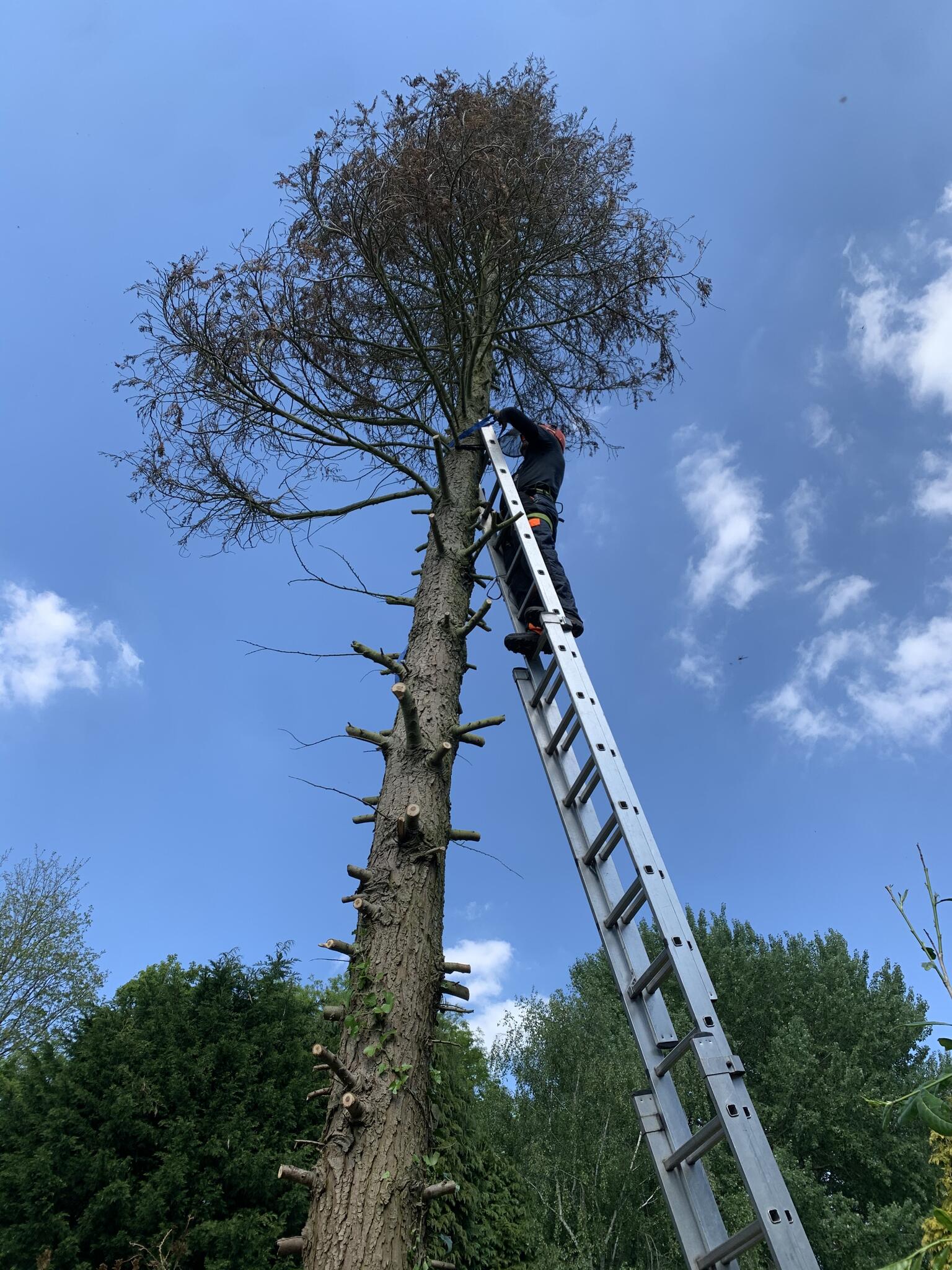 Joshua Clements - Woking - Nextdoor