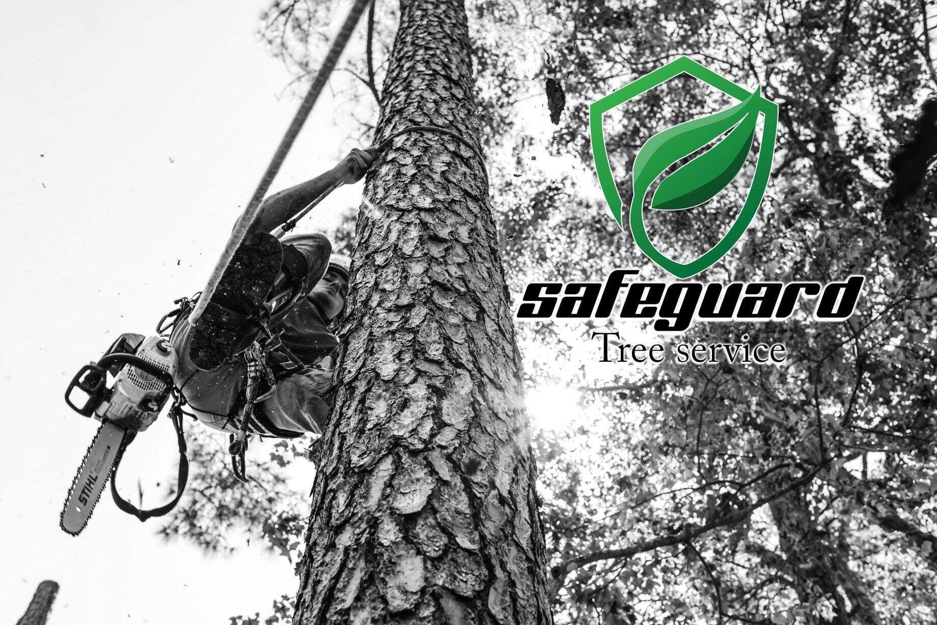 Safeguard Tree Service - Gainesville, FL - Nextdoor