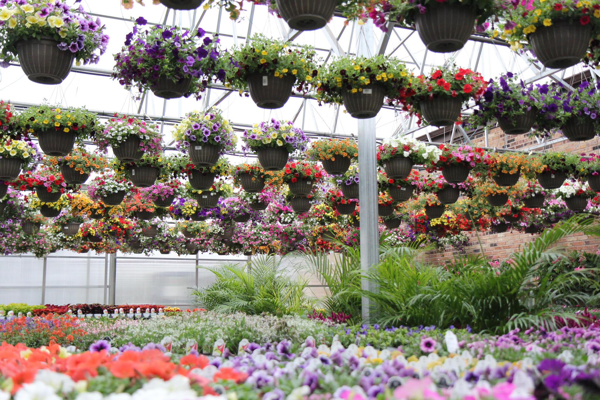 Fasel & Sons Garden Center Inc - Oak Lawn, IL - Nextdoor