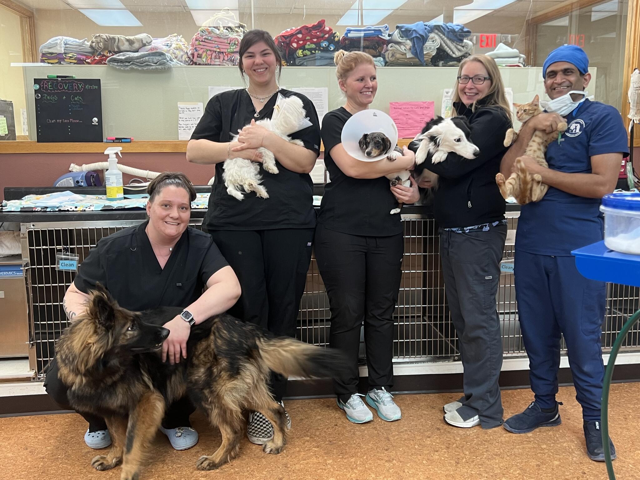 Wisconsin Community Veterinary Center - Madison, WI - Nextdoor
