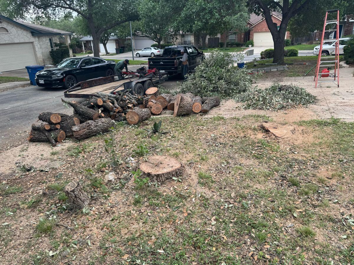 Molina tree service & landscaping - San Antonio, TX - Nextdoor