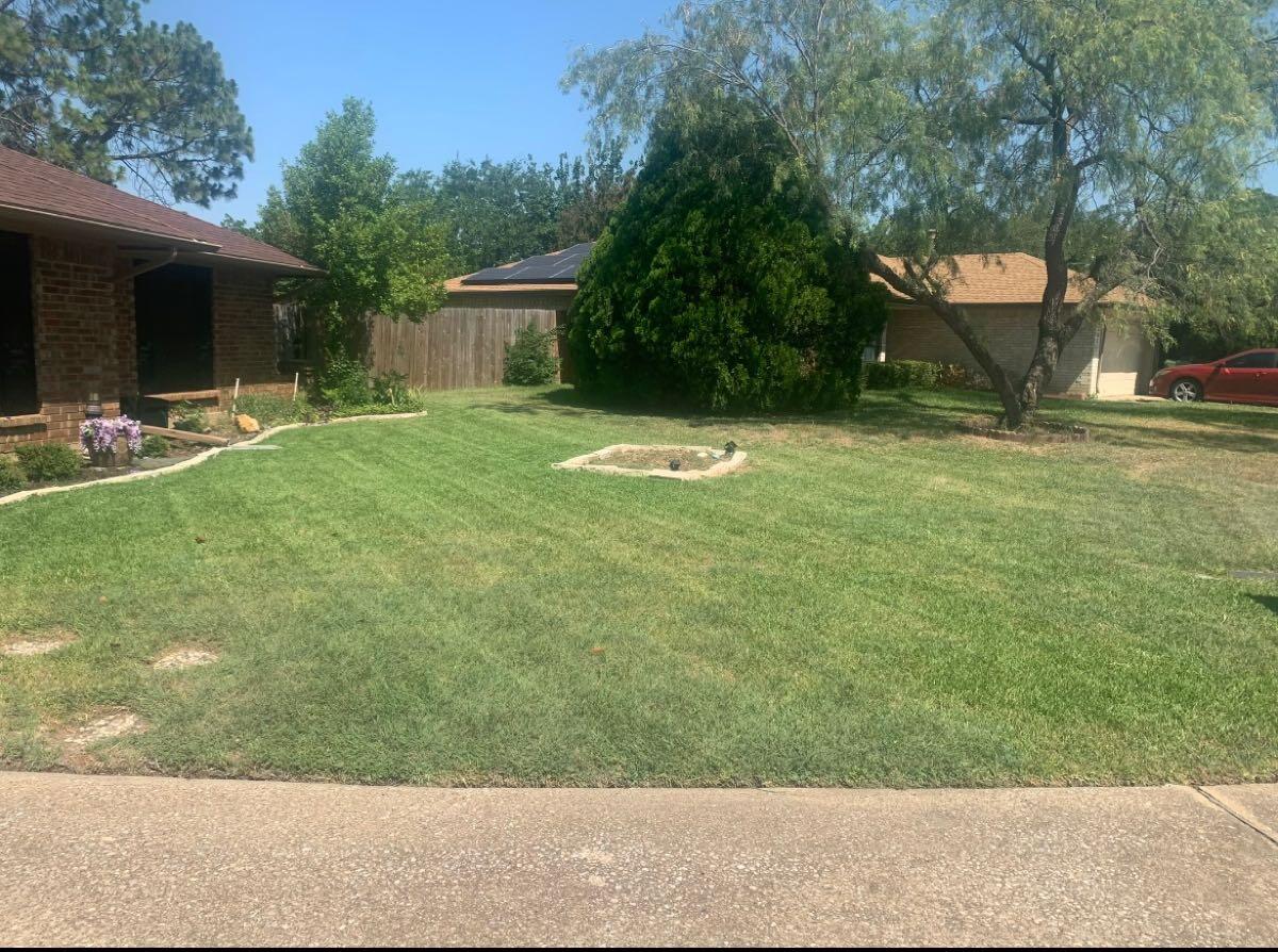 First Class Grass - Nextdoor