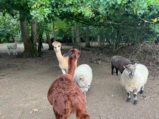 Manor Farm Experiences - Tadworth - Nextdoor