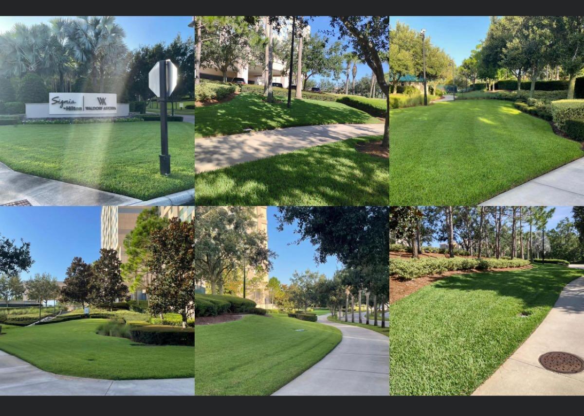 Green Genie Agrisciences - Groveland, FL - Nextdoor