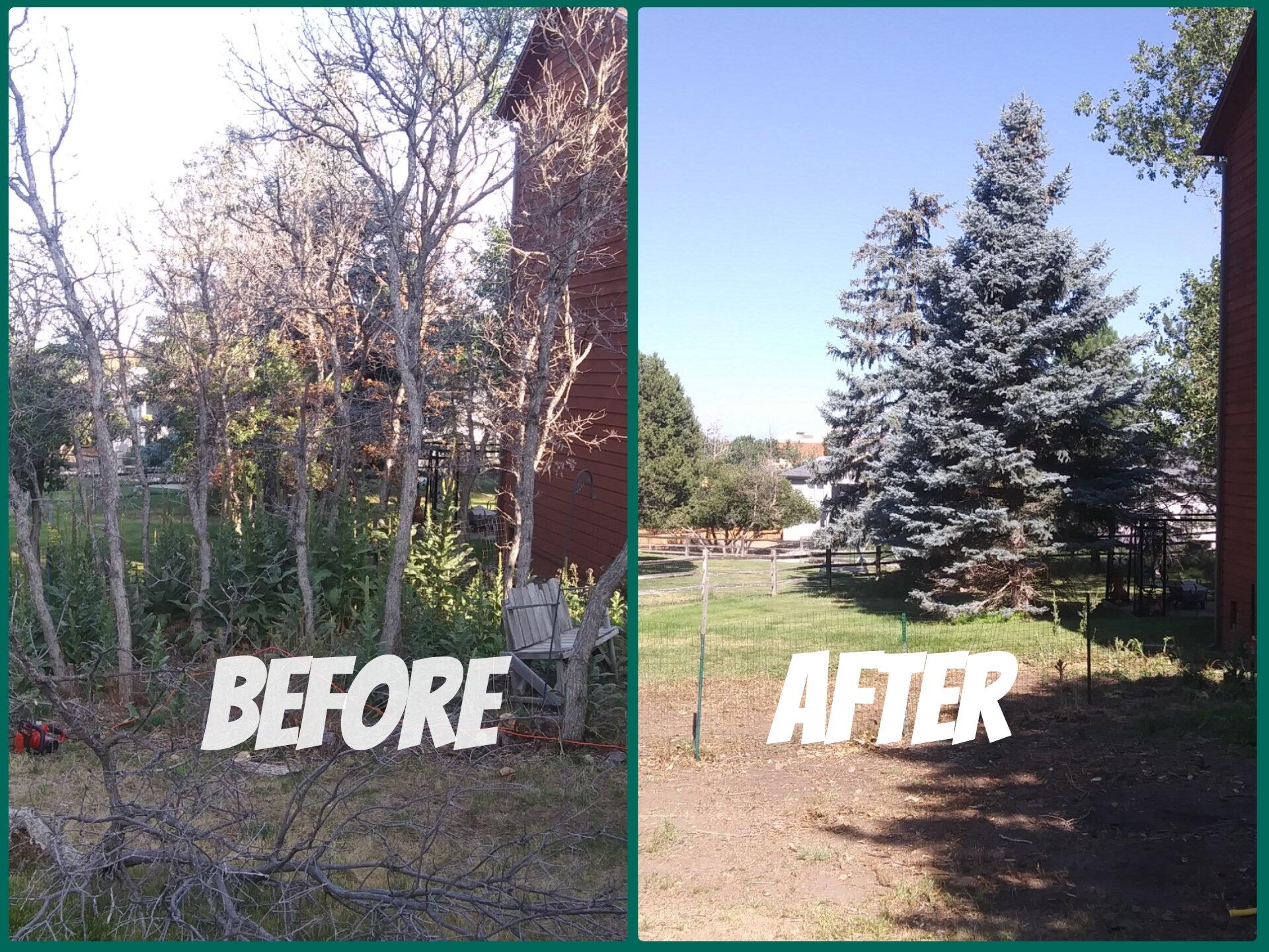 Happy Tree Services - Parker, CO - Nextdoor