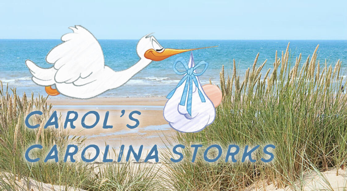 Carol’s Carolina Storks - Charleston, SC - Nextdoor