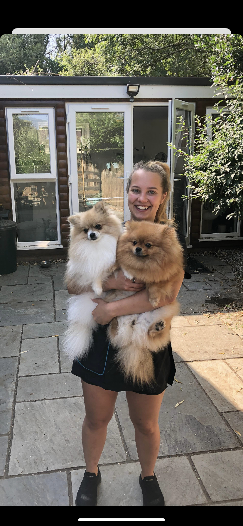 Diamond Dog Styling - Addlestone - Nextdoor