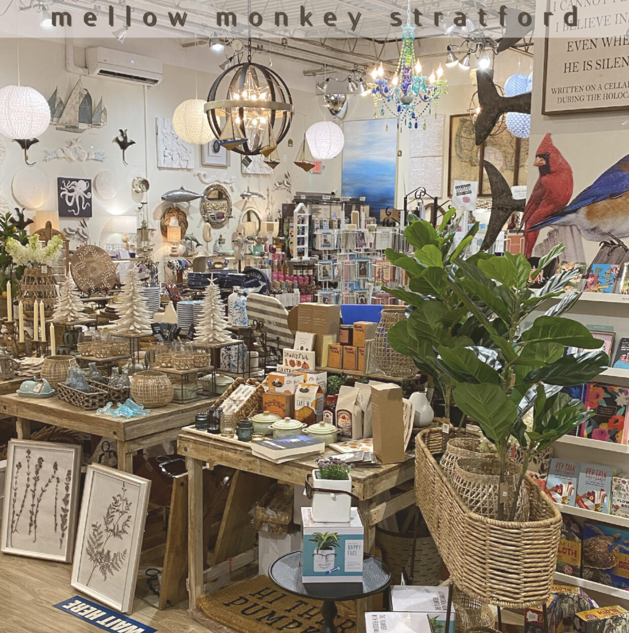 Mellow Monkey Gifts & Home Decor - Stratford, CT - Nextdoor