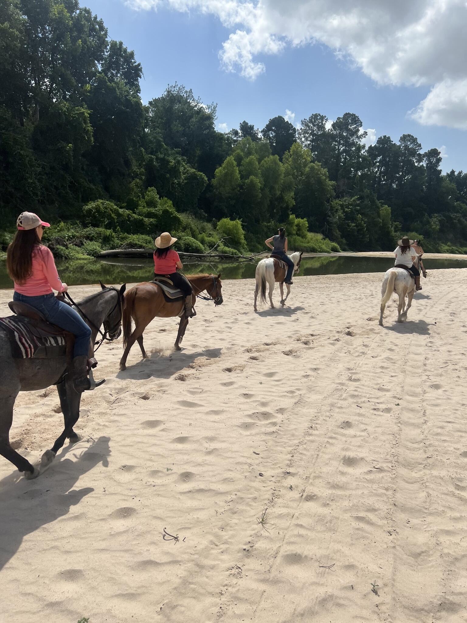 Bella Ranch Horseback Riding - Spring, TX - Nextdoor