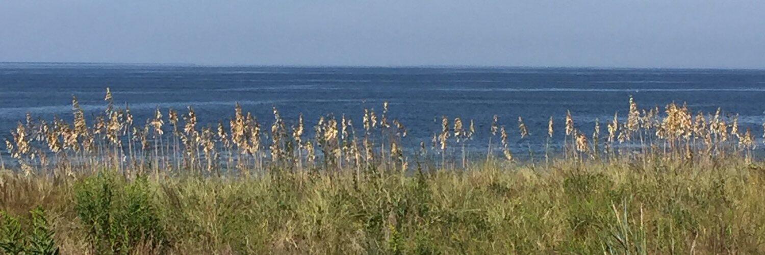 Leslie Elle Rhue, Rose & Womble Realty - Virginia Beach, VA - Nextdoor