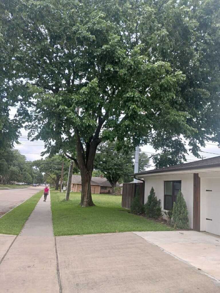 Affordable Tree Service - Houston, TX - Nextdoor Affordable Tree Service - Houston, TX - Nextdoor