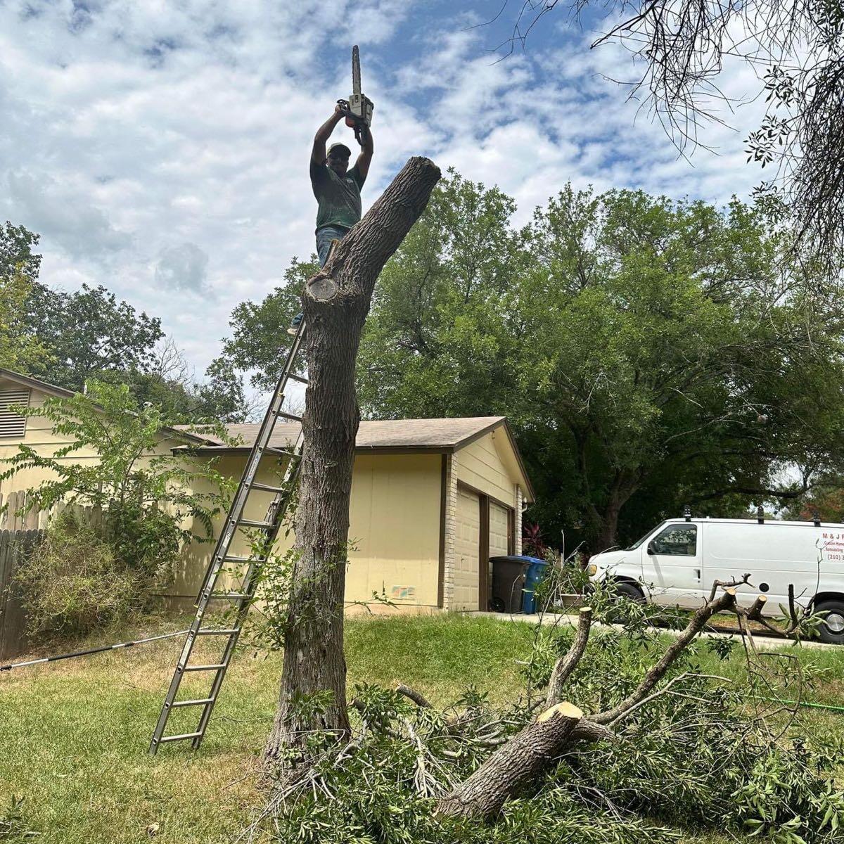 Molina tree service - San Antonio, TX - Nextdoor