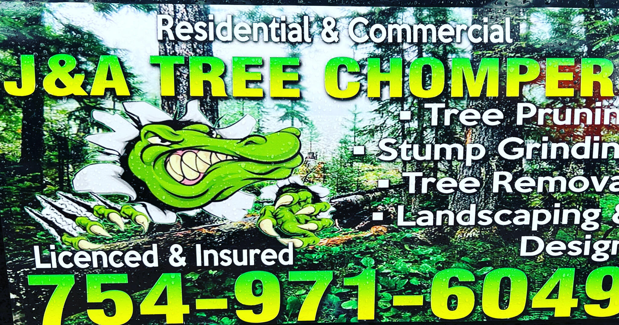 J&A Tree chompers - Fort Lauderdale, FL - Nextdoor