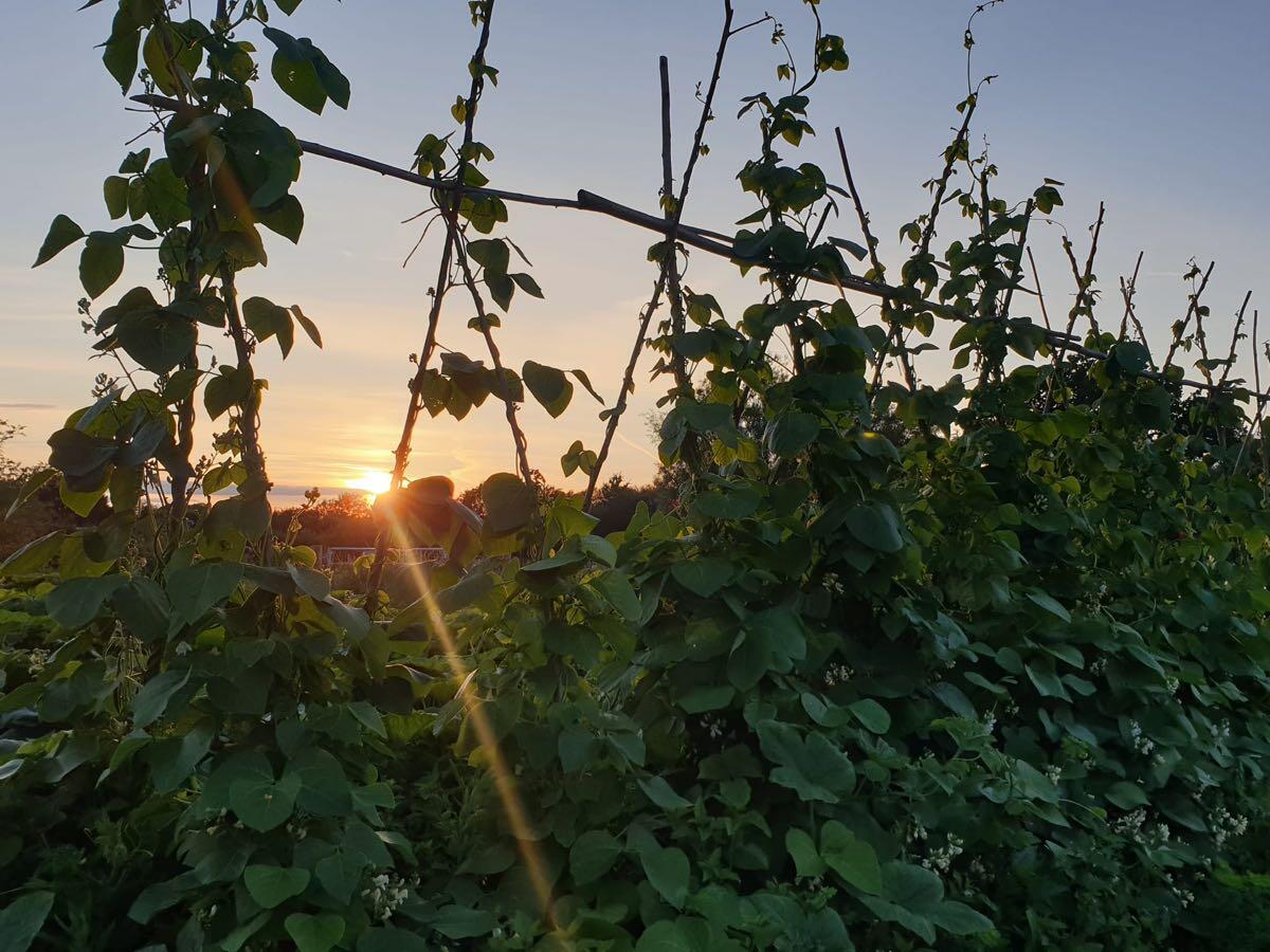 Rush Farm - Redditch, GB-ENG - Nextdoor