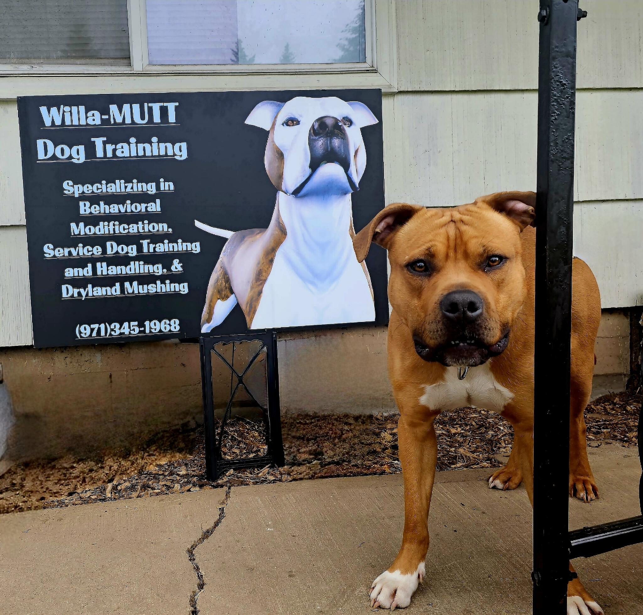 Willa-MUTT Dog Training LLC - Keizer, OR - Nextdoor