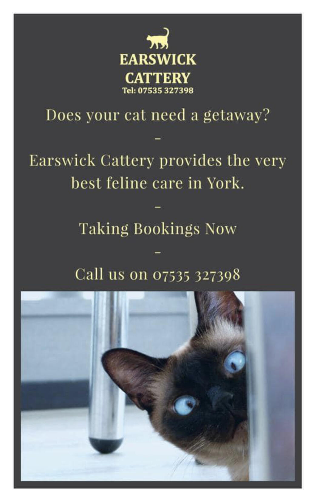 Earswick Cattery - York - Nextdoor