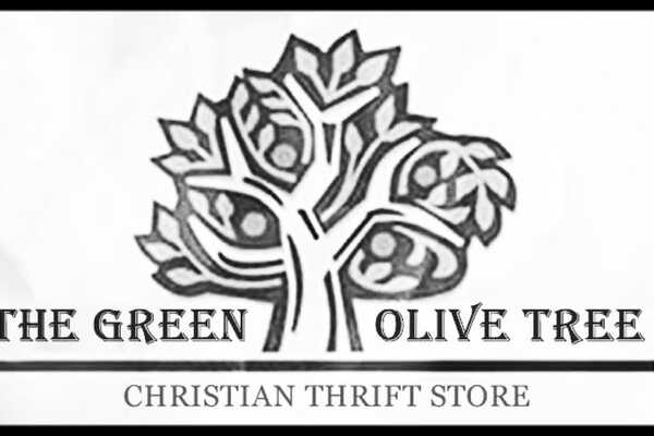 The Green Olive Tree Crozet VA Nextdoor The Green Olive Tree Crozet VA Nextdoor