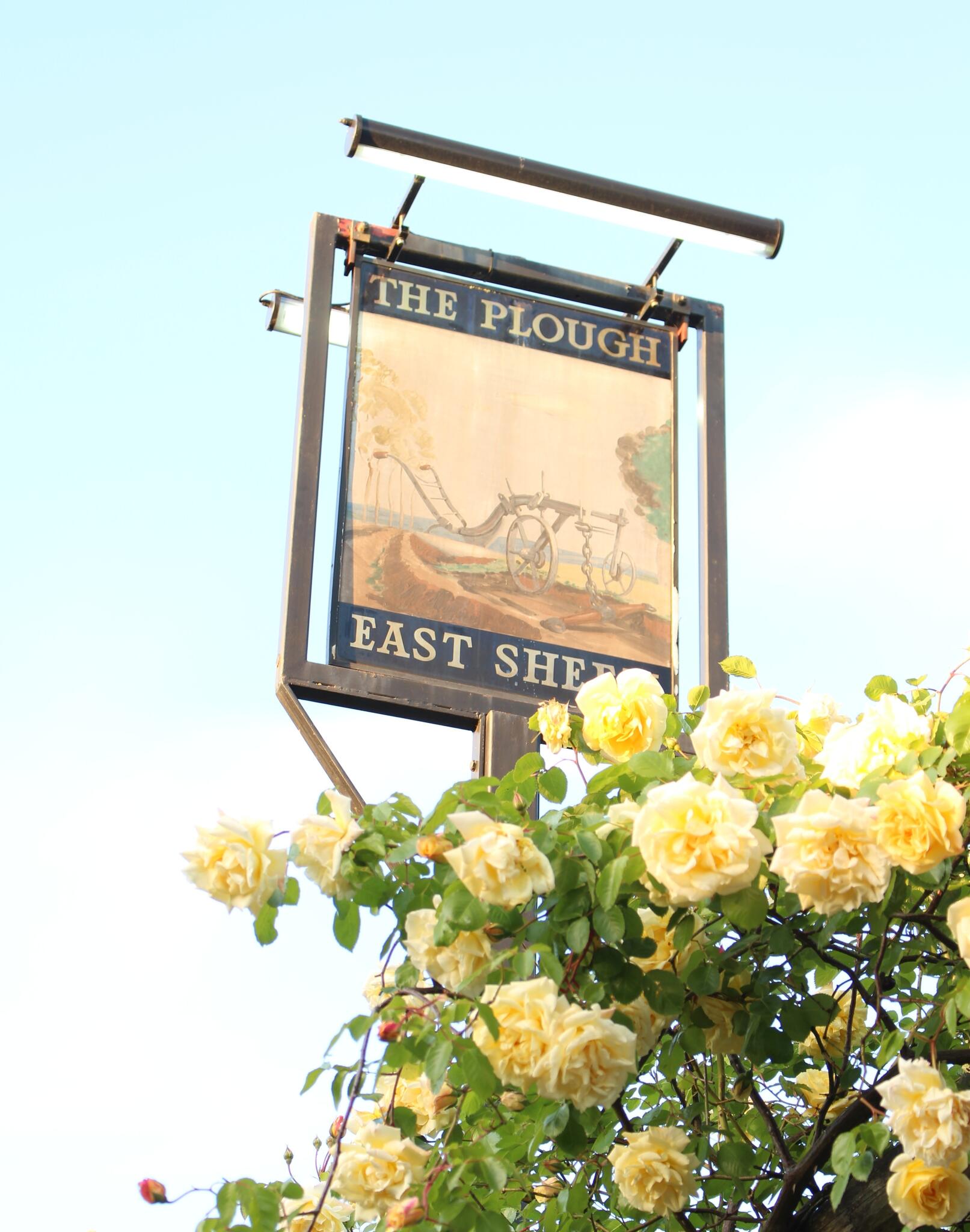 The Plough, East Sheen - London, Surrey - Nextdoor