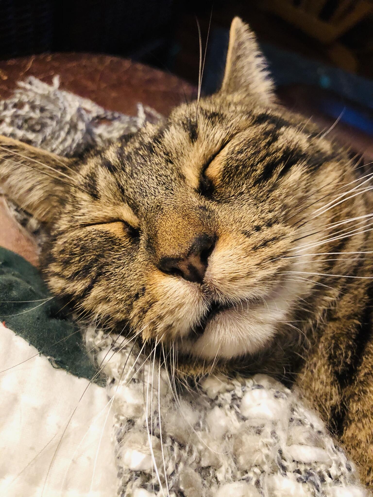 Deborah Beckett - Everett, WA - Nextdoor