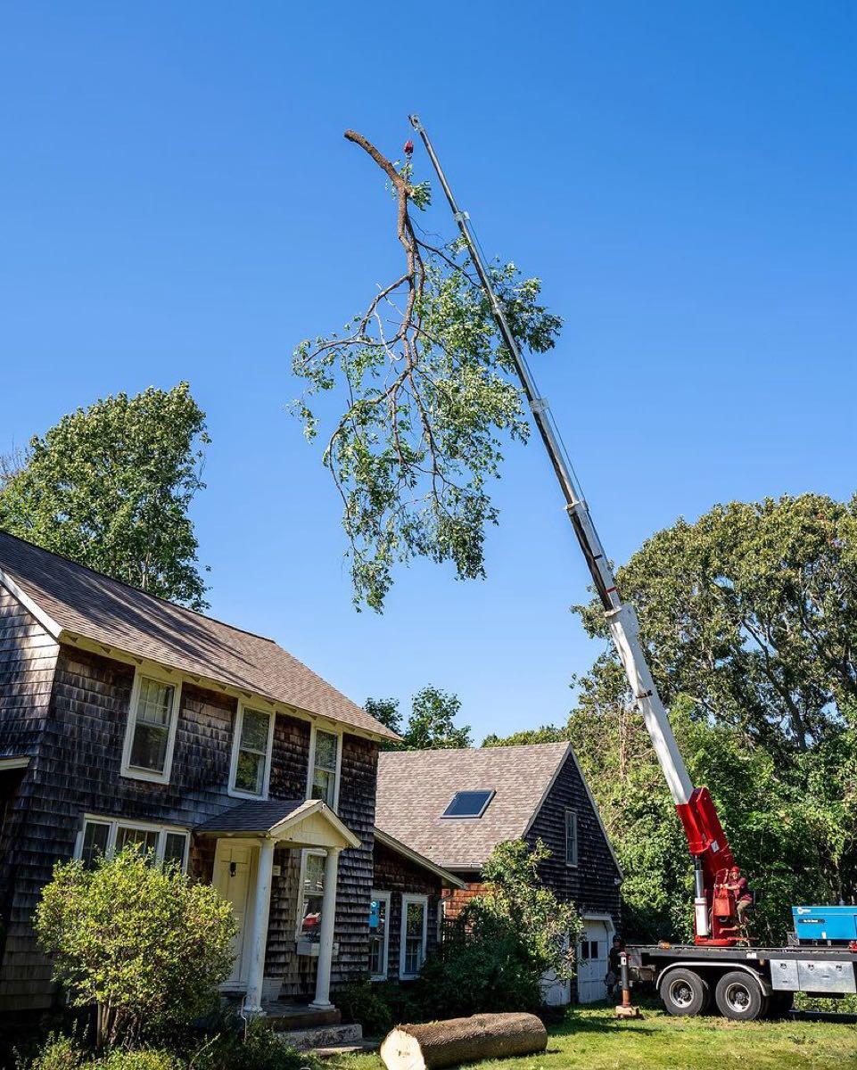 Tuckers Tree Pros - Memphis, TN - Nextdoor