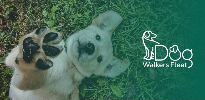 Dog Walkers Fleet - Fleet - Nextdoor