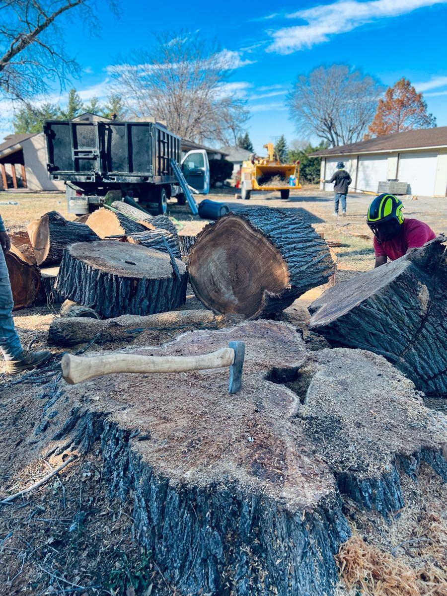 Bautista tree service - Omaha, NE - Nextdoor