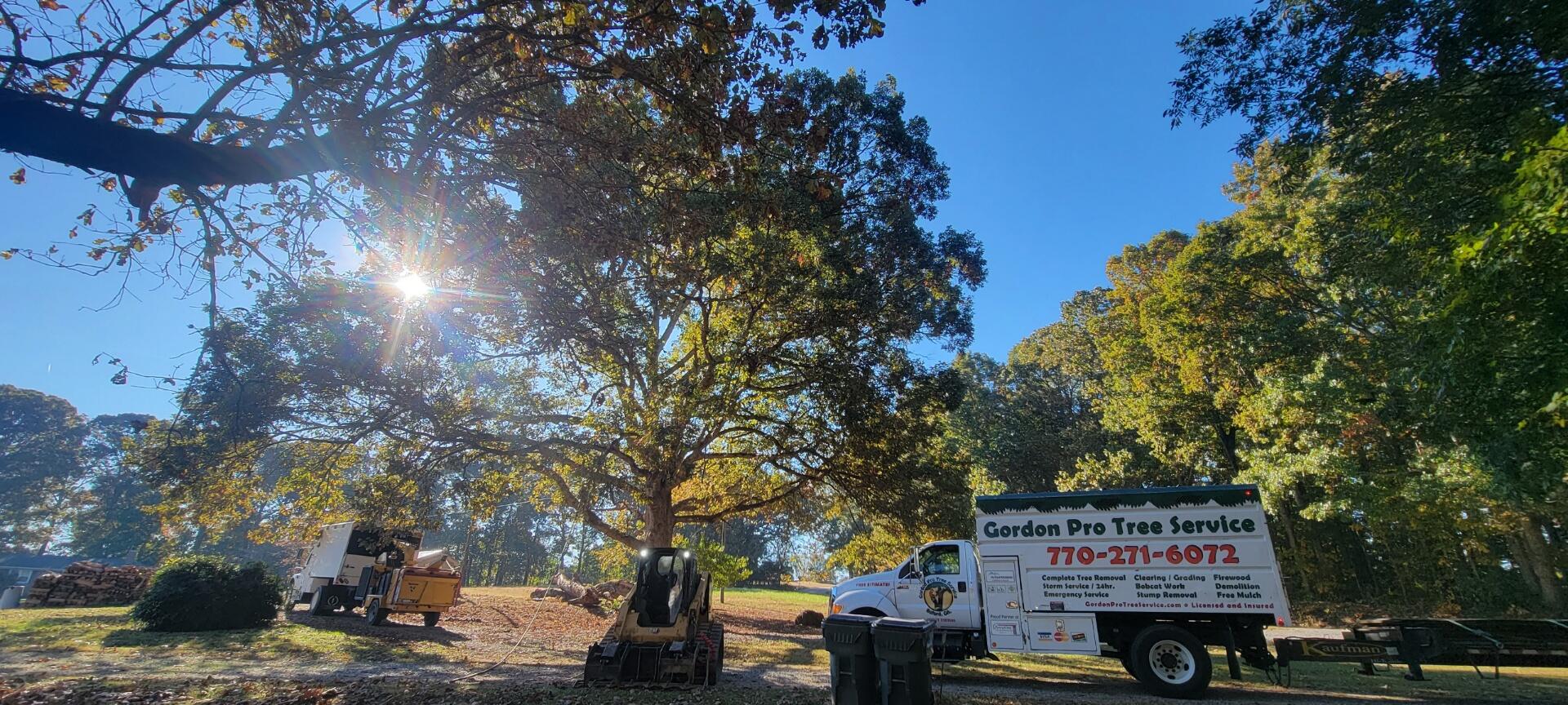 Gordon Pro Tree Service - Gainesville, GA - Nextdoor
