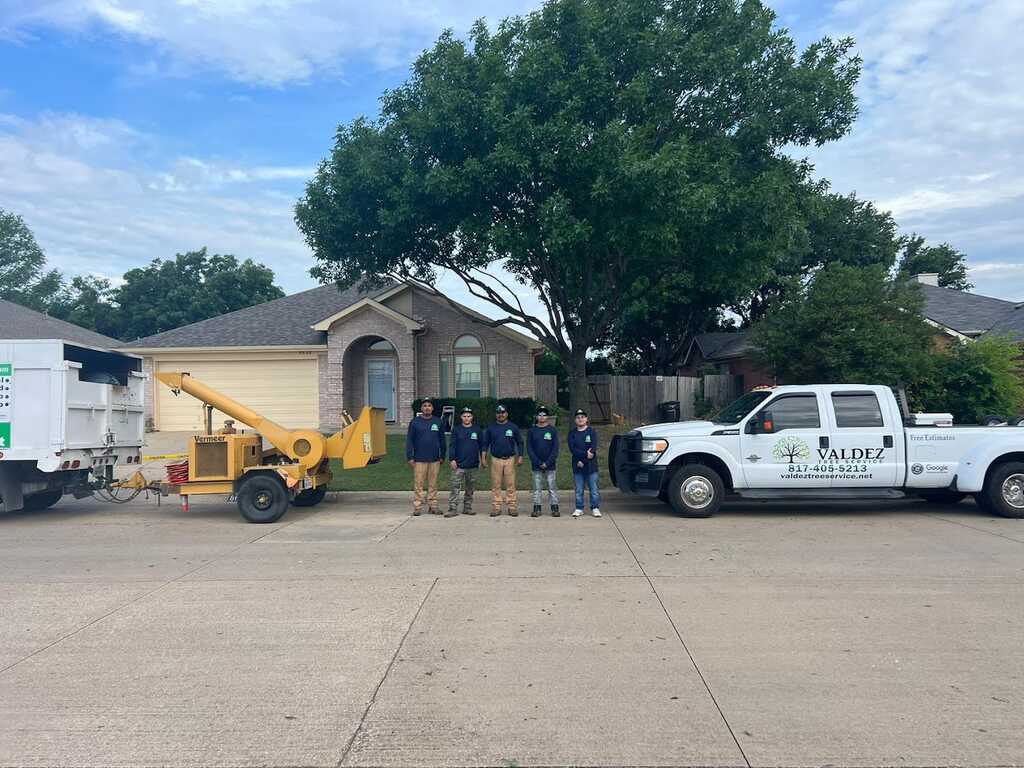 Valdez Tree Service - Fort Worth, TX - Nextdoor Valdez Tree Service - Fort Worth, TX - Nextdoor