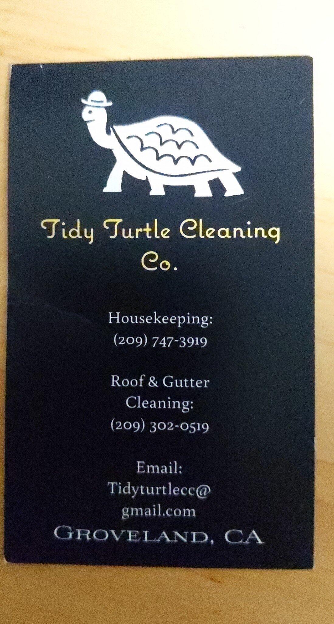 Tidy Turtle Poem Little Turtle – Crossroads