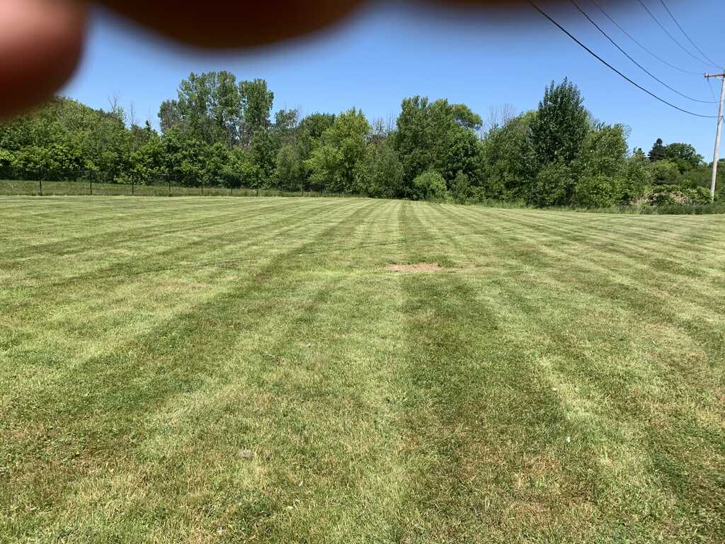 Bertollini lawn & snow - Erieville, NY - Nextdoor Bertollini lawn & snow - Erieville, NY - Nextdoor