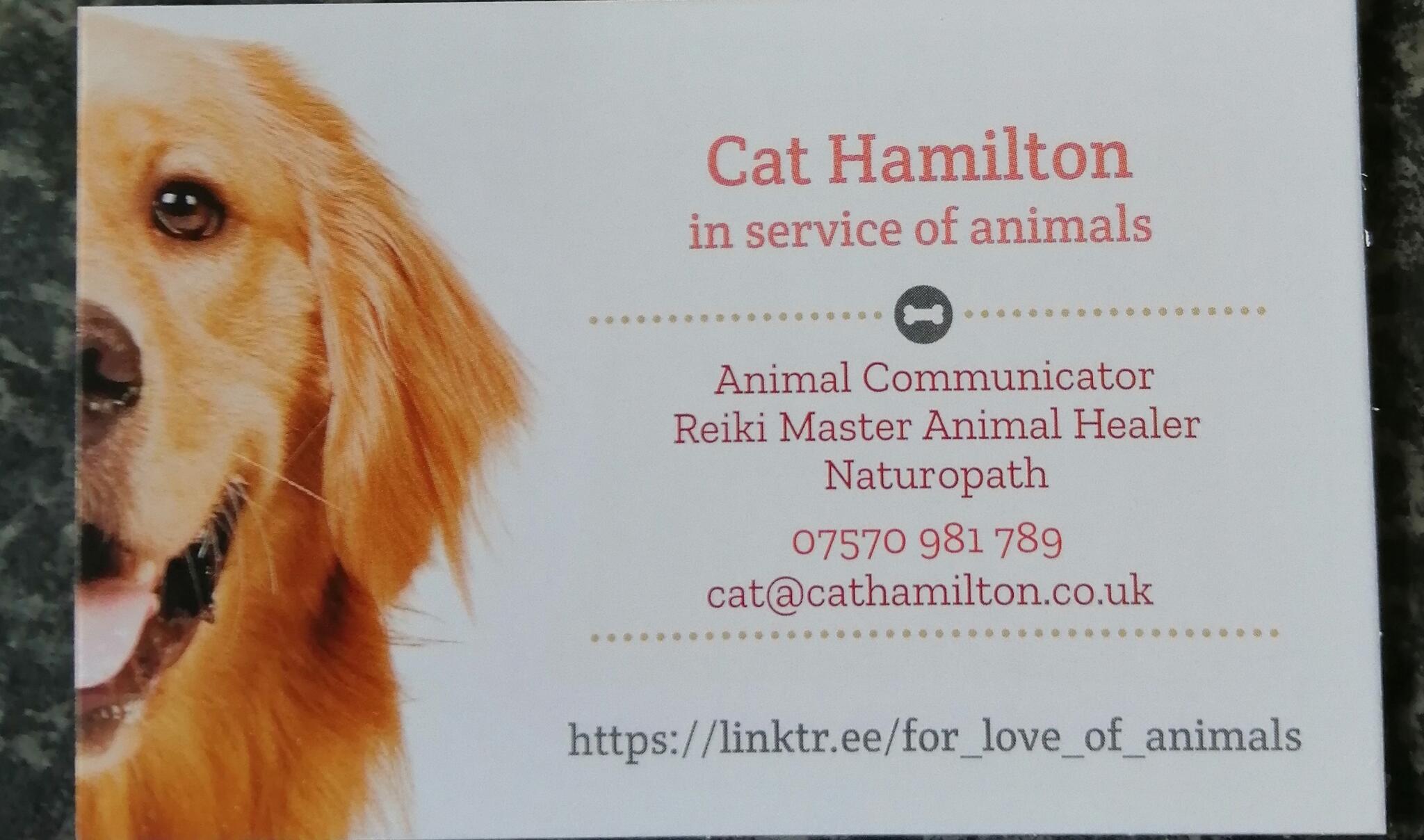 Cat Hamilton - Animal Naturopathy - Warwick, GB-ENG - Nextdoor