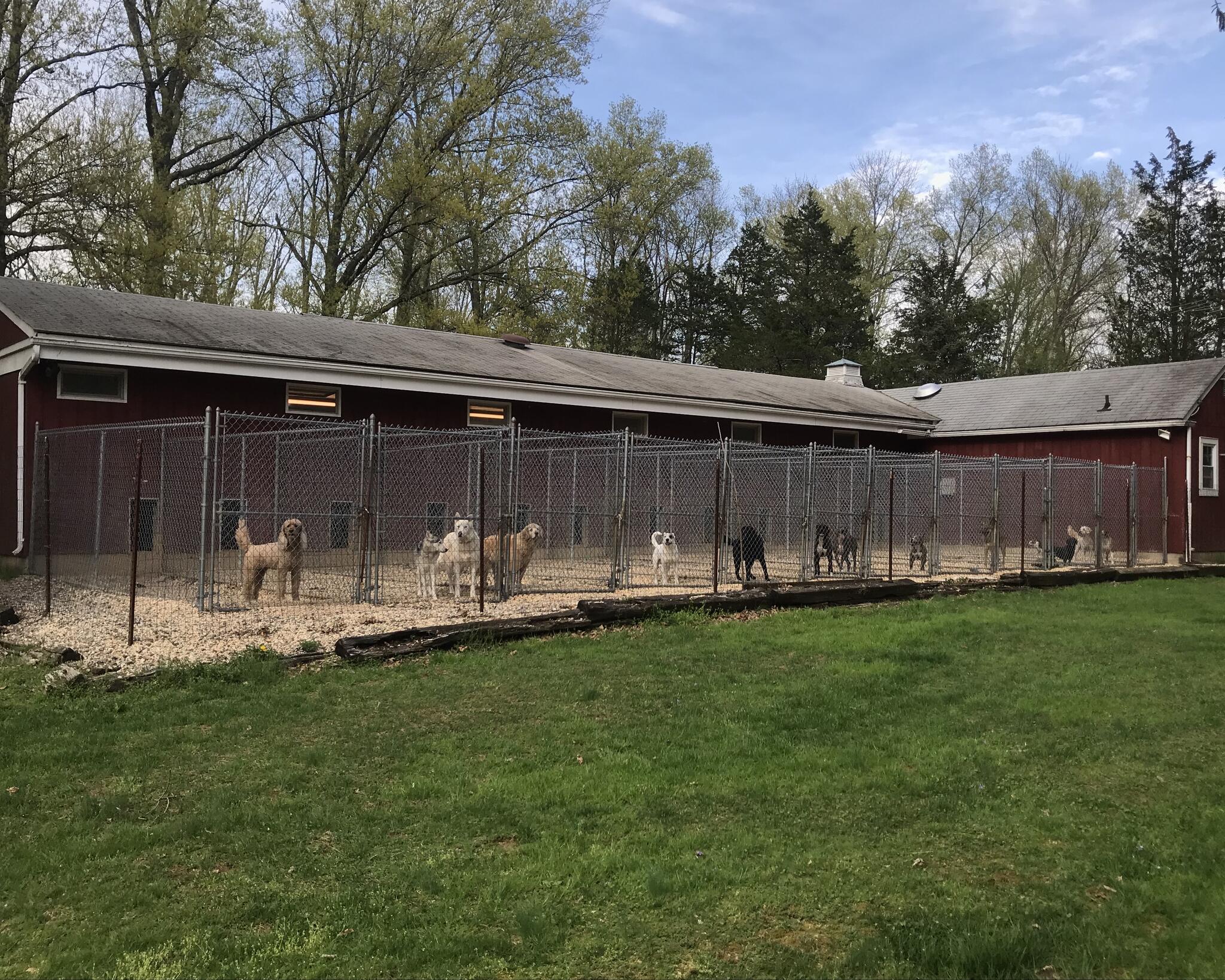 Plateau Kennels - Frenchtown, NJ - Nextdoor