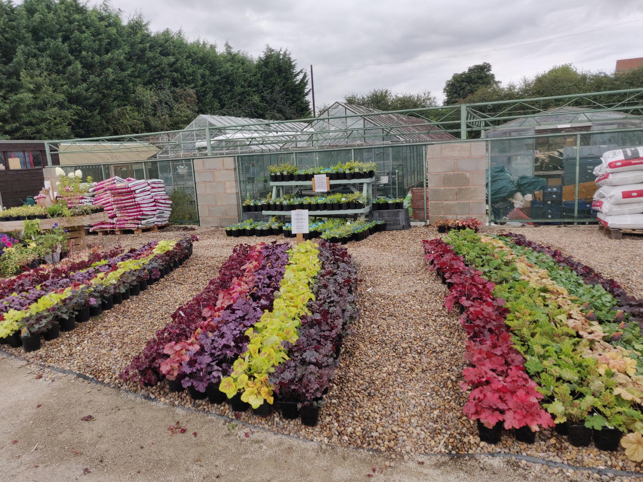 Dale Plant Nursery - Worksop, GB-ENG - Nextdoor