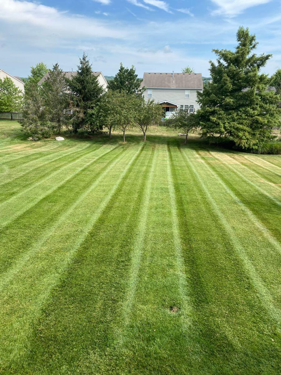 County line lawn care - Nextdoor