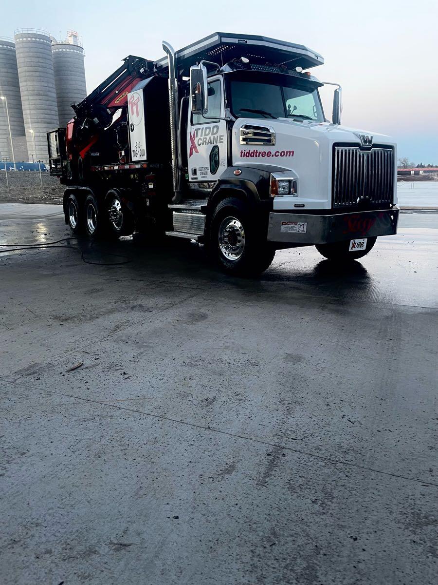 Tidd Tree - Nextdoor