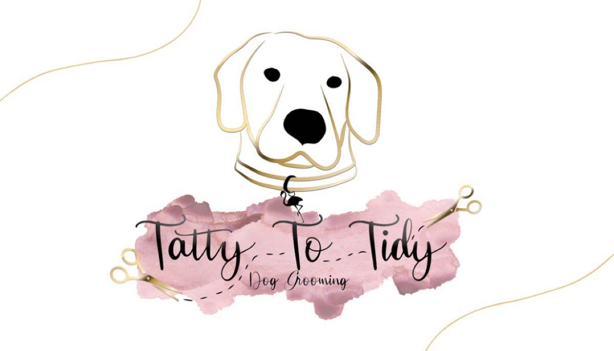 Tatty to Tidy Dog Grooming - London - Nextdoor