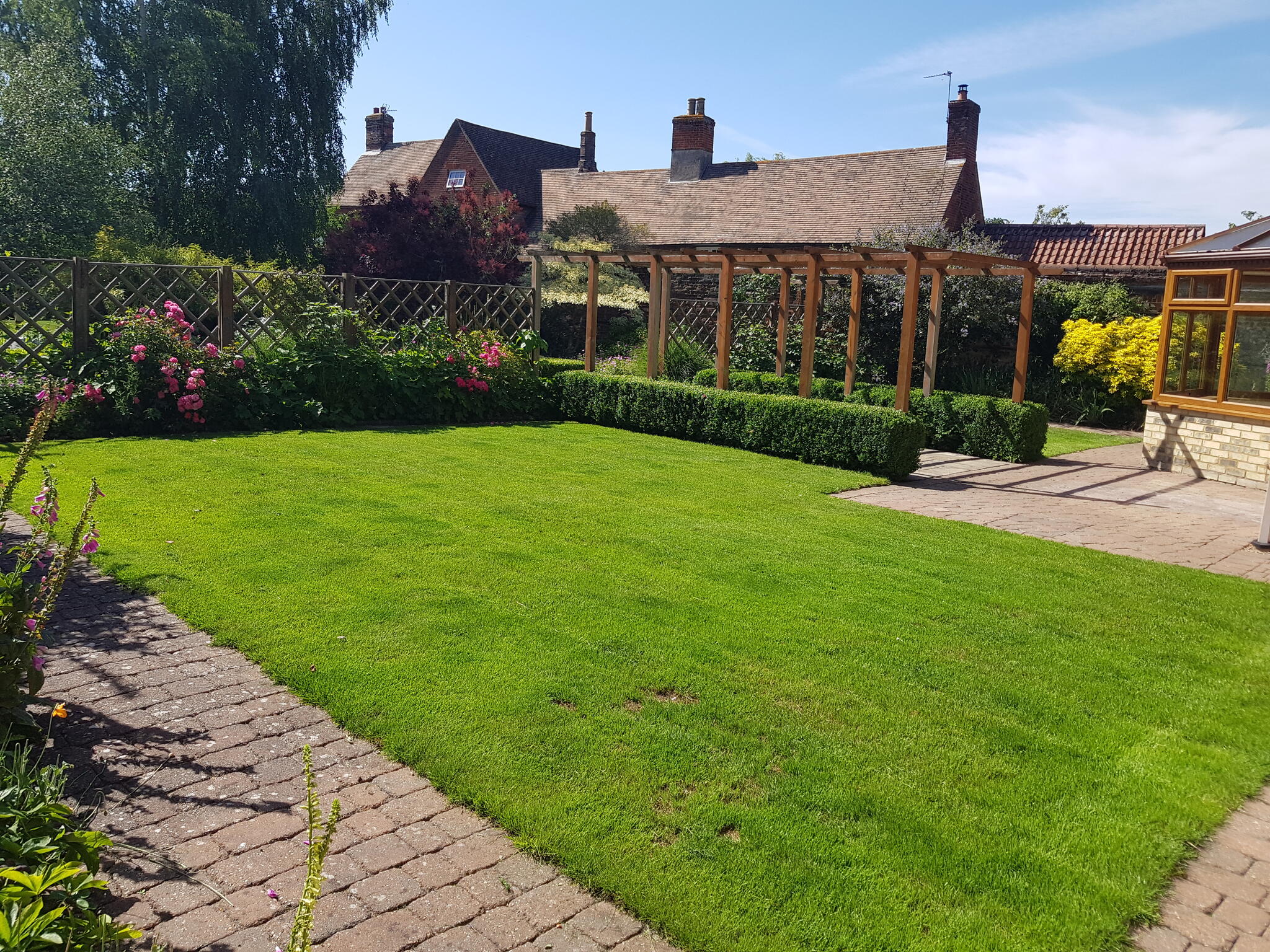 Steve The Gardener - Newmarket - Nextdoor