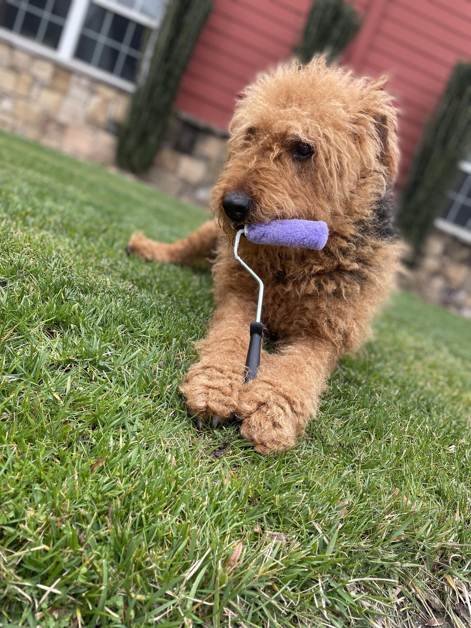 MAK LLC Home Renovations - Nextdoor