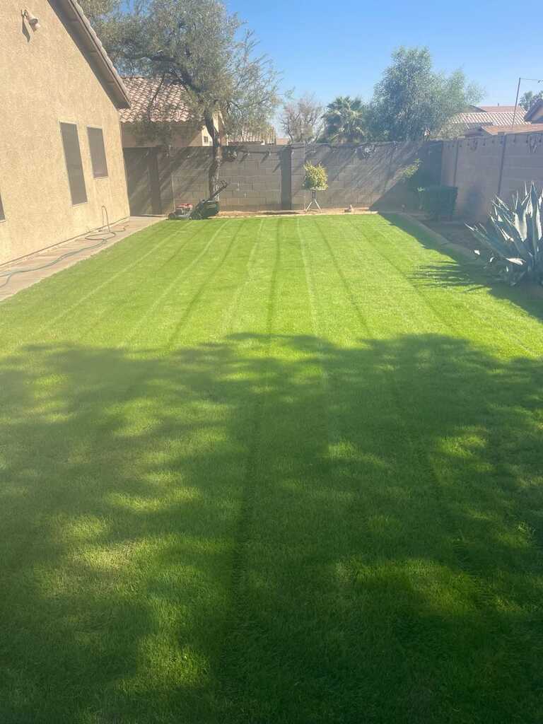 Pepe landscaping - Phoenix, AZ - Nextdoor Pepe landscaping - Phoenix, AZ - Nextdoor