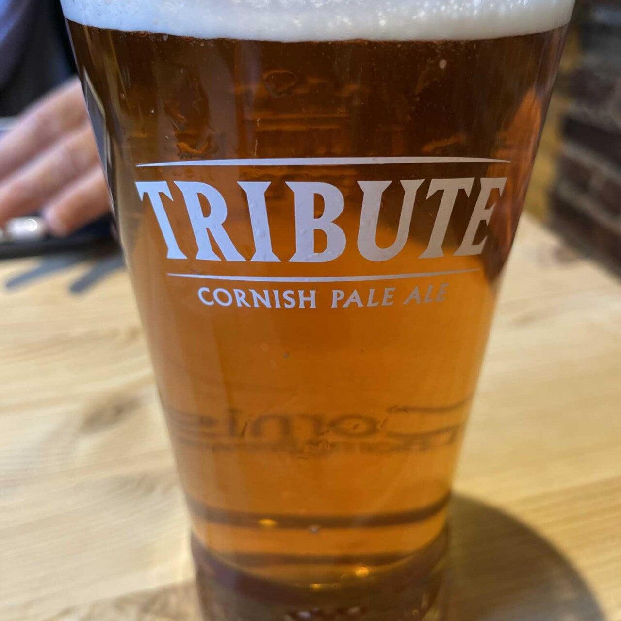 The Layer Fox - Layer de la Haye - Nextdoor