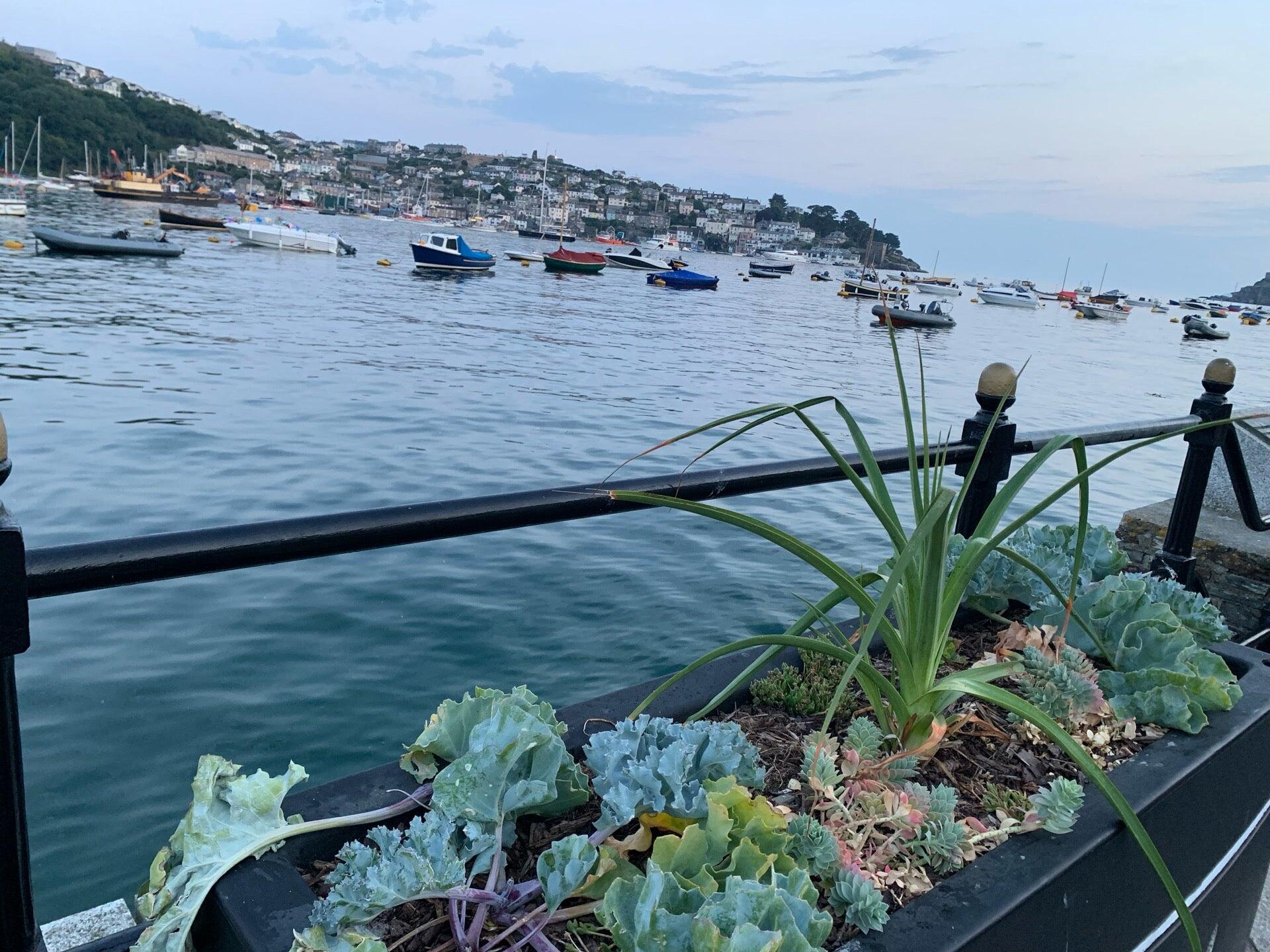 Havener's - Fowey - Nextdoor